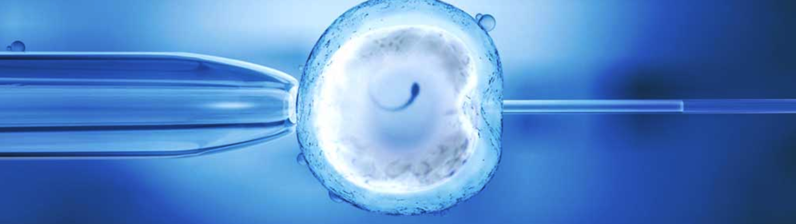 Admission - Clinical Embryology